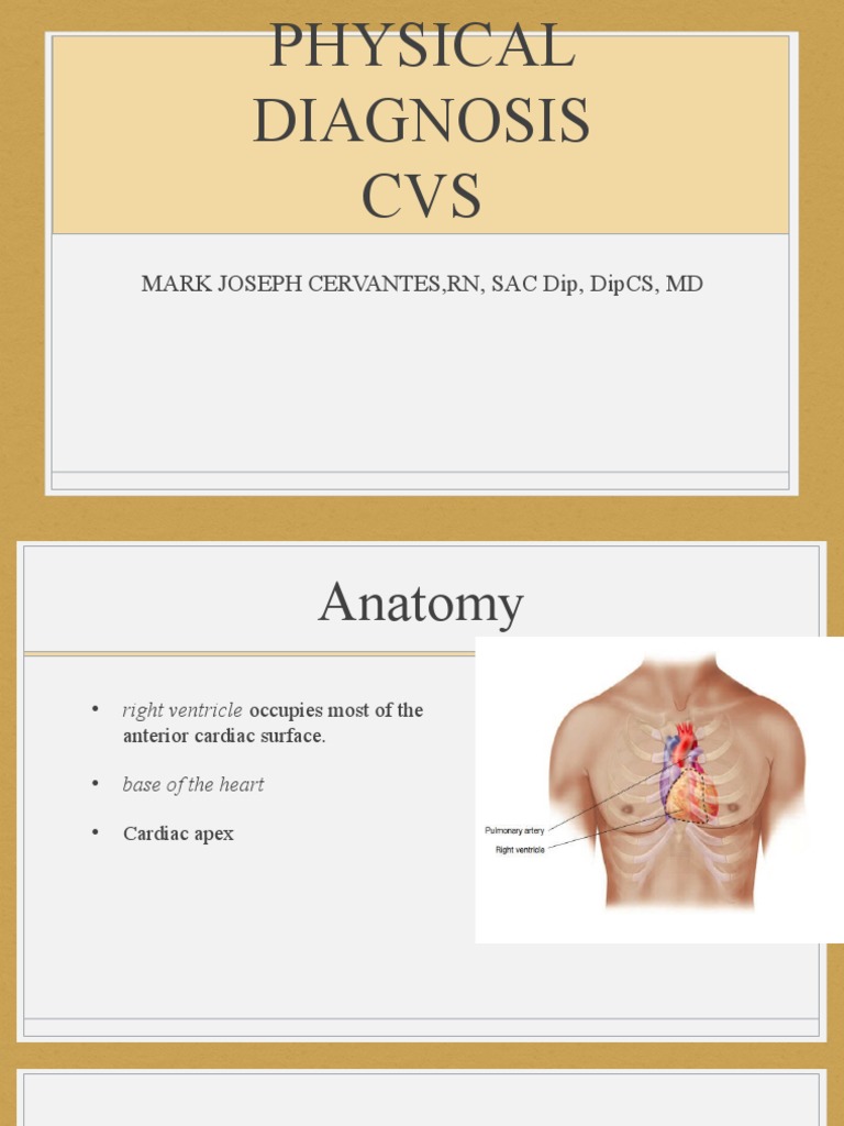 Physical Diagnosis CVS BCCM Second Year Lecture MARKMD | PDF | Heart ...