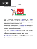 Amul Financial Reports Section3 | PDF