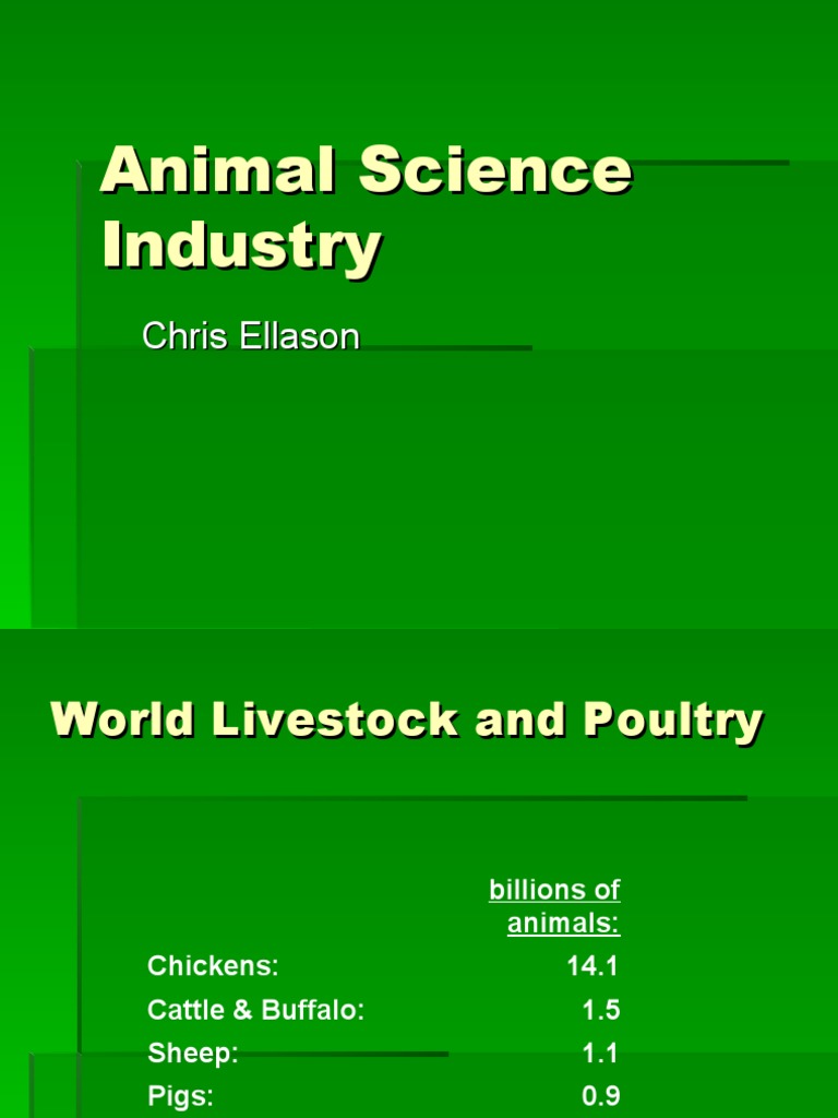 Animal Science Industry | PDF | Cattle | Sheep