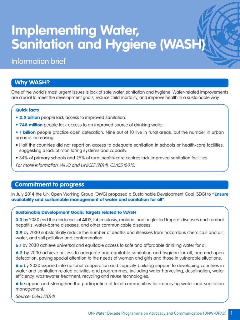 Sanitation PDF | PDF | Wash | Sanitation
