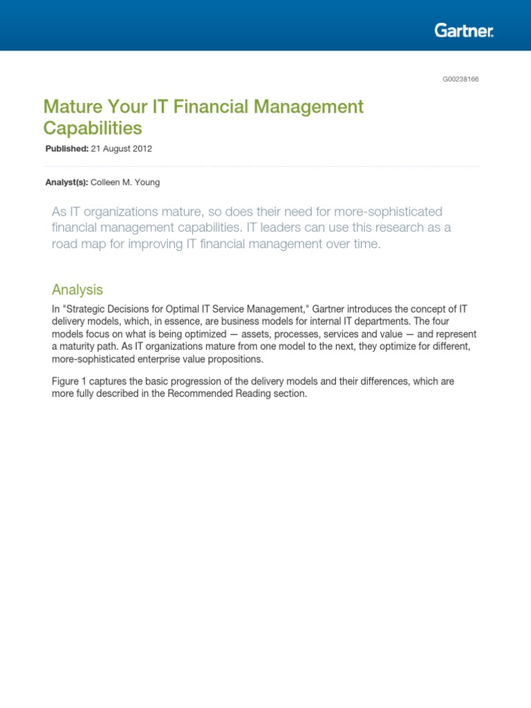 Mature - Your - It - Financial - Management Capabilities | PDF ...
