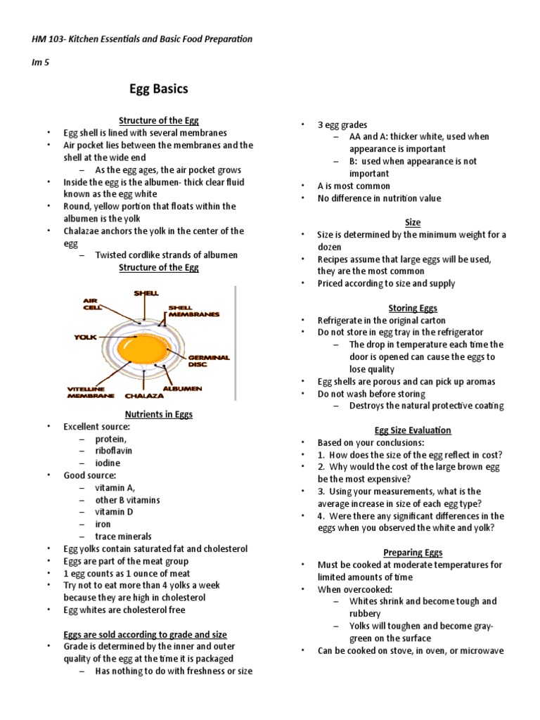 Egg Basics: Structure of The Egg | PDF | Egg White | Egg As Food