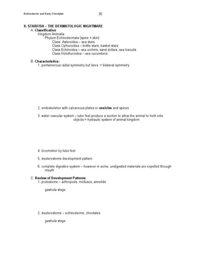 Echinoderms and Chordate Overview | PDF | Organisms | Science