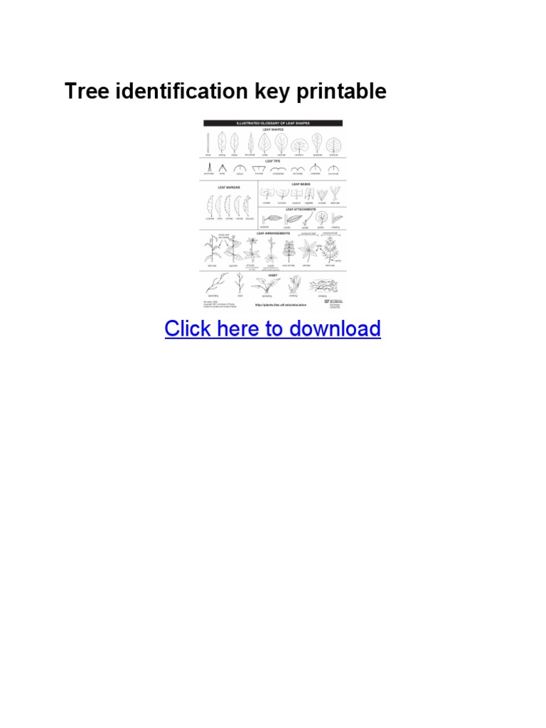 Tree Identification Key Printable: Click Here To Download | PDF ...