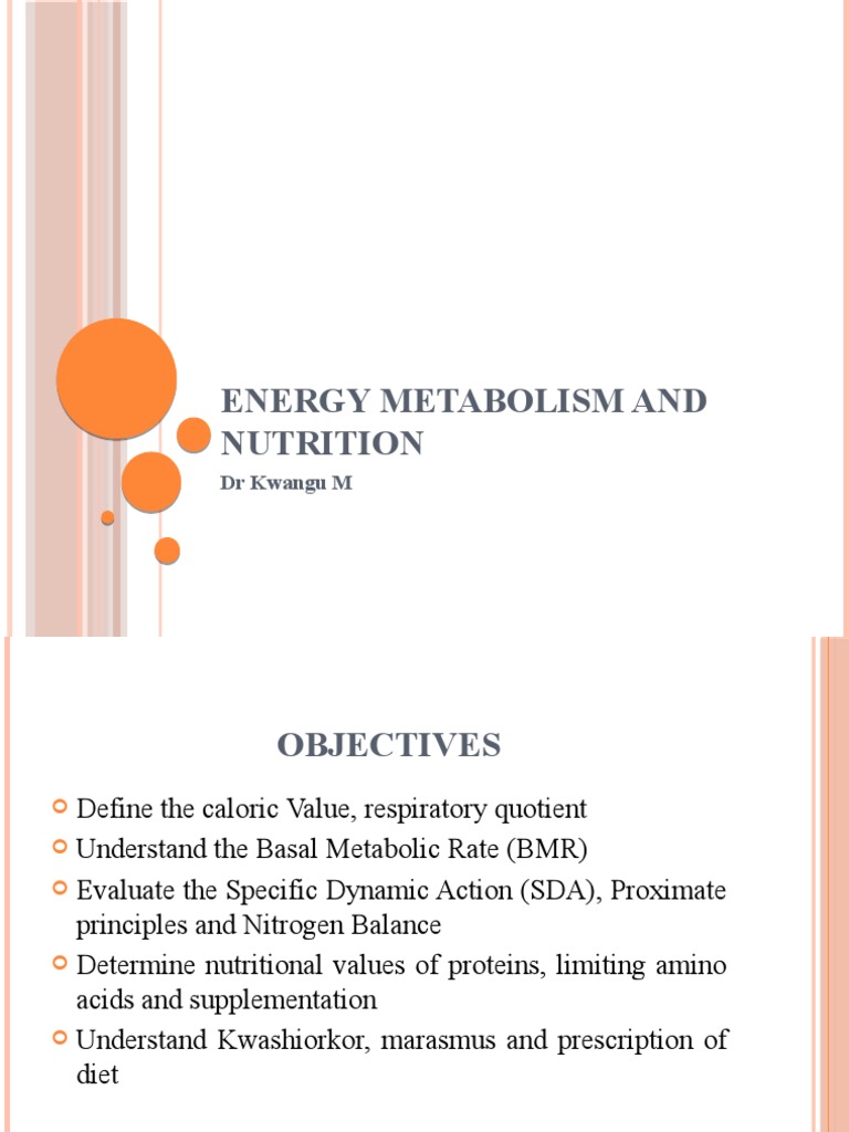 Brazo de Mercedes Caloric Content | PDF | Cholesterol | Dietary Fiber