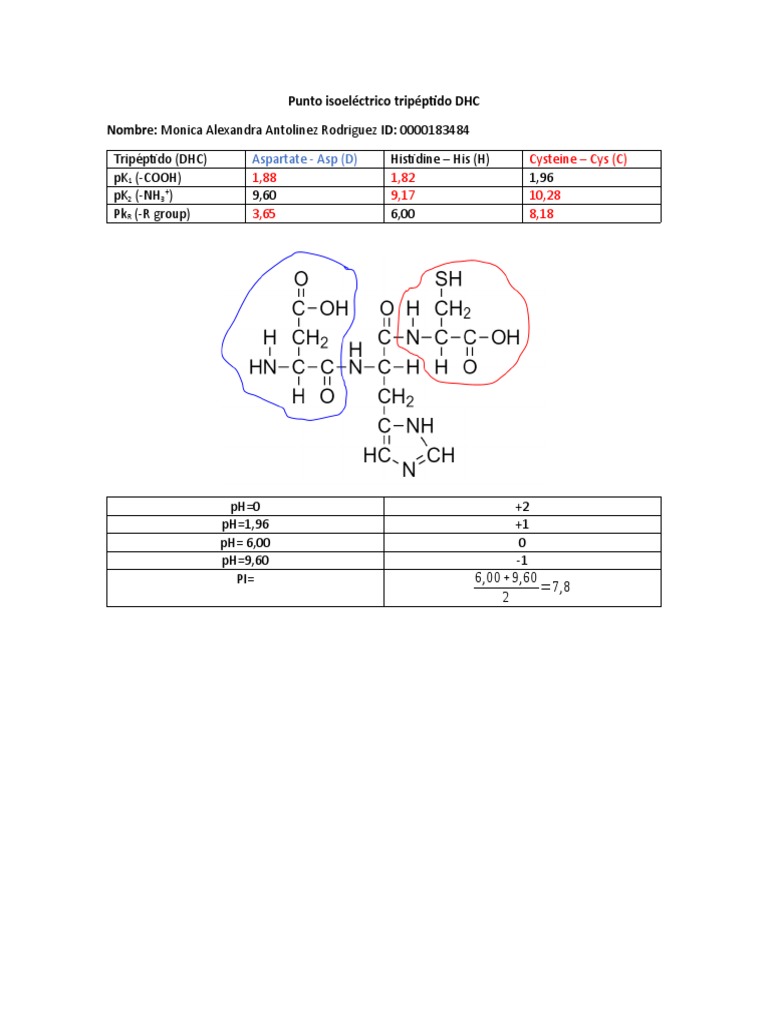 Tarea Punto Isoelectrico | PDF