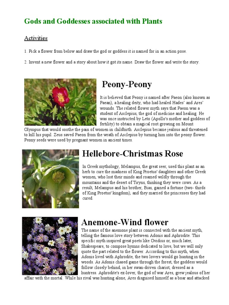 Mythical Plants and Their Deities | PDF | Apollo | Dionysus