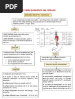Inserto Esfinto Plus | PDF | Medicina CLINICA | Especialidades Medicas