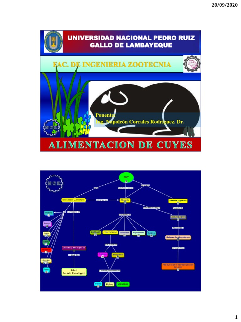 Alimentacion de Cuyes | PDF | Alimentos | Nutrición