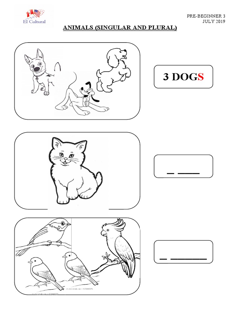 Animals (Singular and Plural) : Pre-Beginner 3 JULY 2019 | PDF