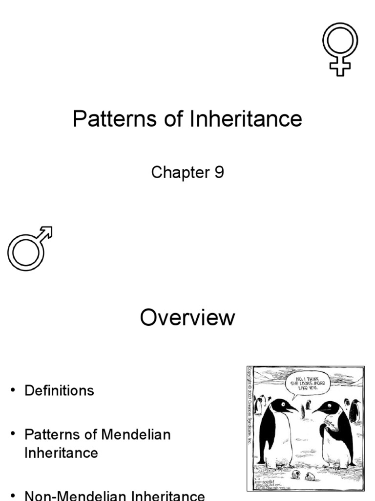 4 CH 9 Patterns of Inheritance | PDF | Dominance (Genetics) | Zygosity
