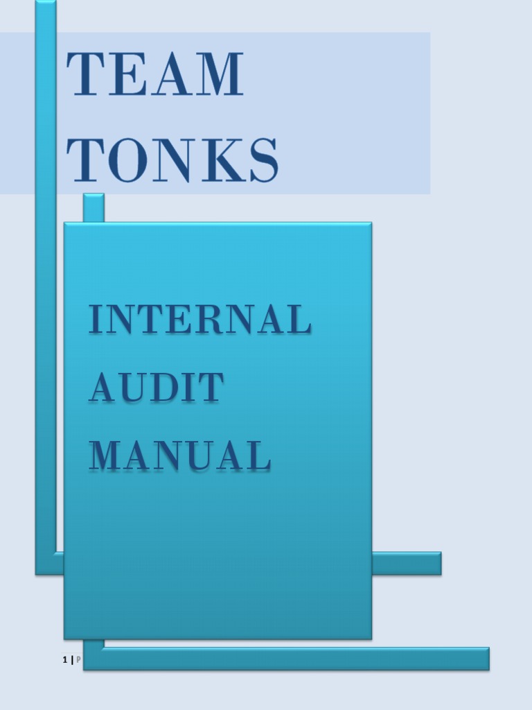 Audit Manual | PDF | Internal Audit | Internal Control