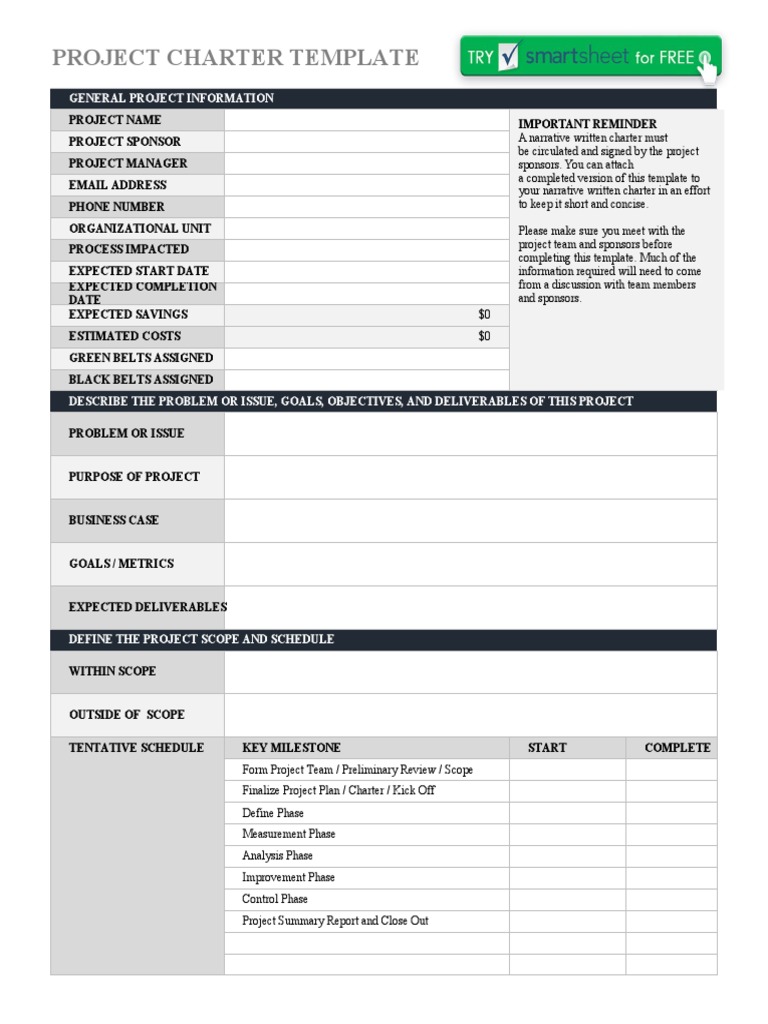 IC Project Charter Template 8929 | PDF | Reliability Engineering | Information