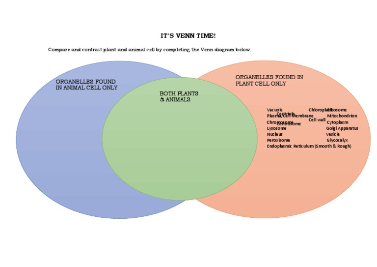 Venn Diagram Comparing Plant and Animal Cell Organelles | PDF