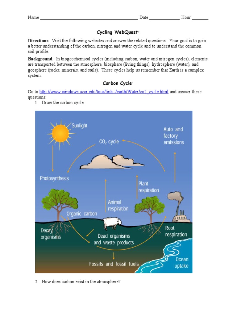 Cycling WebQuest 0708 ANSWERS | PDF | Carbon Cycle | Nitrogen