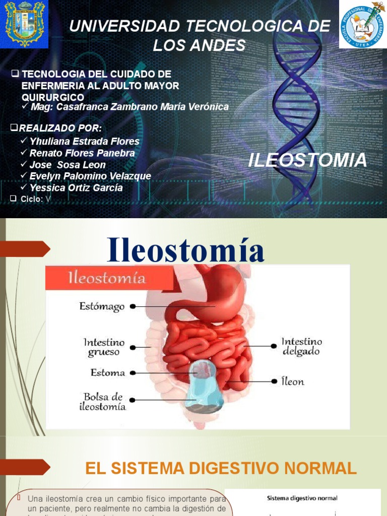 Tipos y cuidados de la ileostomía | PDF | Heces | Sistema digestivo humano