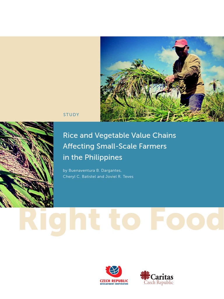 Rice and Vegetable Value Chain Affecting Small Scale Farmers in The ...