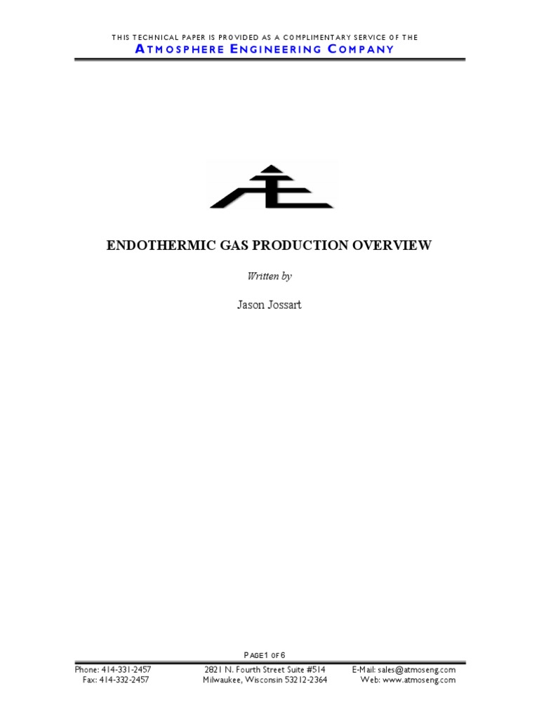 Endogas | PDF | Methane | Combustion