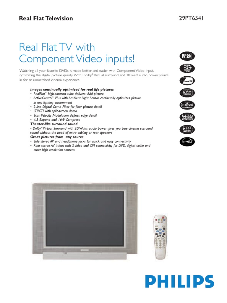 Real Flat TV With Component Video Inputs! | PDF | Video | Display ...
