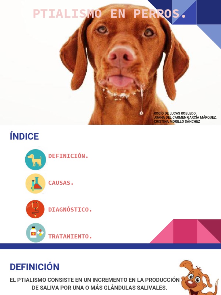 Ptialismo en Perros | PDF | Especialidades Medicas | Medicina CLINICA