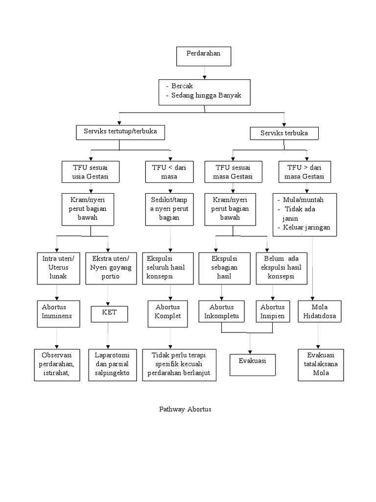 Perkembangan Kandungan dan Tatalaksana Abortus | PDF