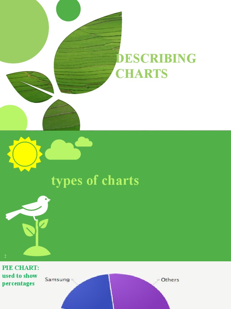 Describing Charts | Download Free PDF | Verb | Linguistic Morphology