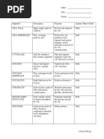 Cellular - Transport - Study - Guide - Answer Key | PDF | Osmosis ...
