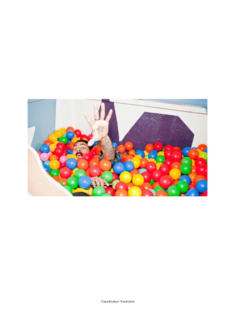 Restricted Document Notice | PDF