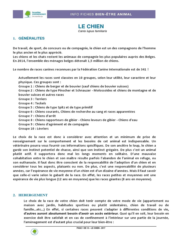IF BEA SoinChien FR | PDF | Races | Chiens
