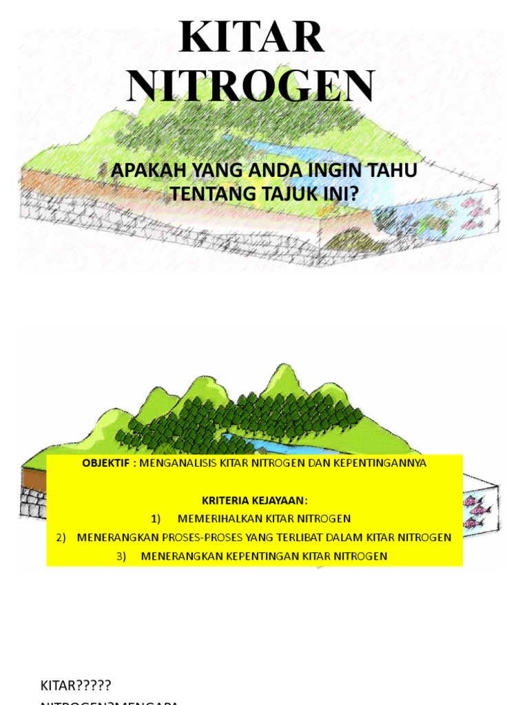 Kitar Nitrogen | PDF
