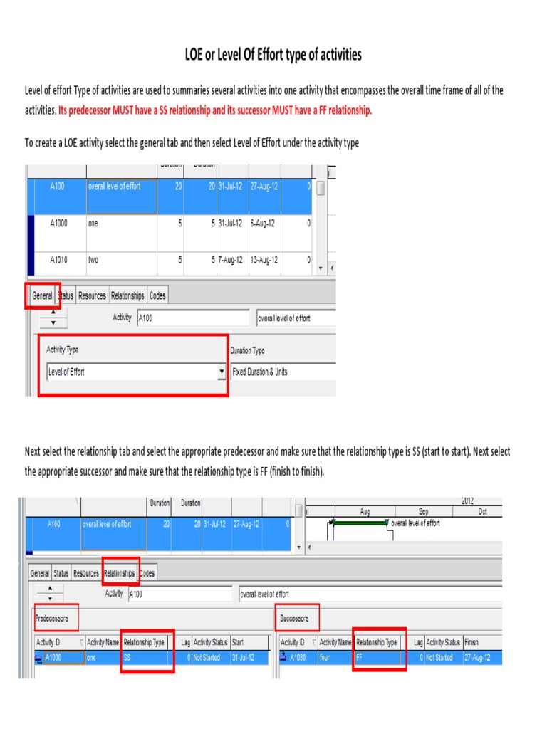 LOE or Level of Effort Type of Activities | PDF | Computing | Business