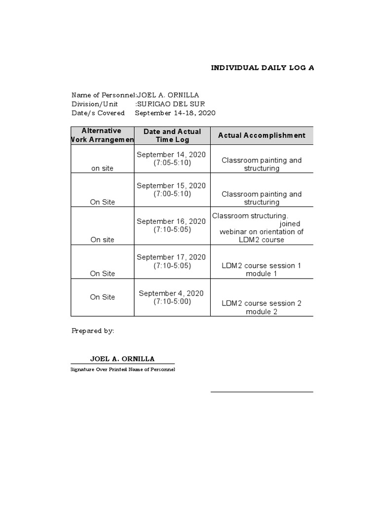 Individual Daily Log and Accomplishment Report | Download Free PDF ...