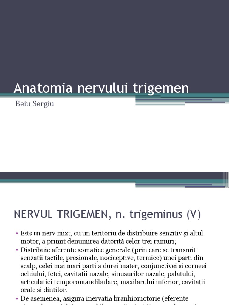 Anatomia Nervului Trigemen | PDF