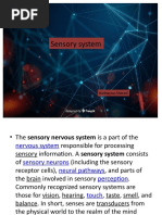 Our 8 Sensory Systems | PDF | Senses | Taste