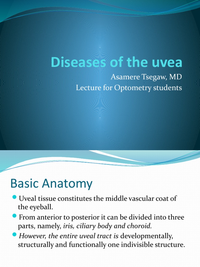 Diseases of The Uvea | PDF | Vision | Diseases Of The Eye And Adnexa