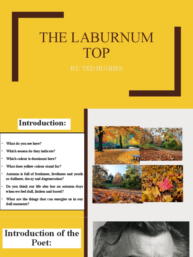 The Laburnum TOP: By: Ted Hughes | PDF