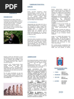 Duendes Marrones Pequeños | PDF | Tejer | Textiles