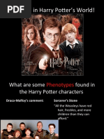 Harry Potter Genetics | PDF | Dominance (Genetics) | Allele