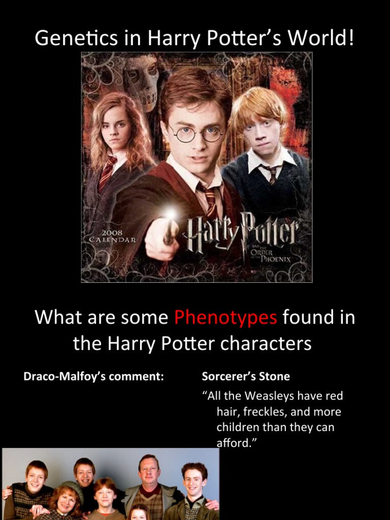 Genetics in Harry Potters World | PDF | Harry Potter Universe | Harry ...