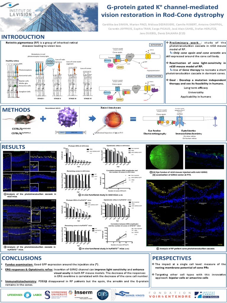 Poster ESGCT Barcelone 24102019 PDF | PDF | Receptors | Cells