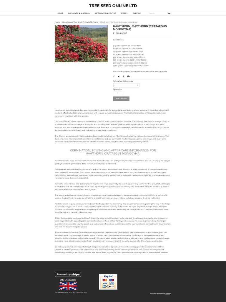 Hawthorn, Maythorn (Crataegus Monogyna) | PDF | Plants | Botany