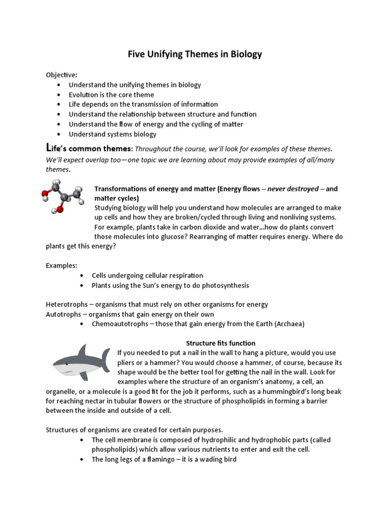Ch. 1 Part 3 - Five Unifying Themes in Biology | PDF | Cell (Biology) | Dna