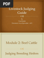 Livestock Judging Techniques Explained | PDF | Livestock | Domesticated ...