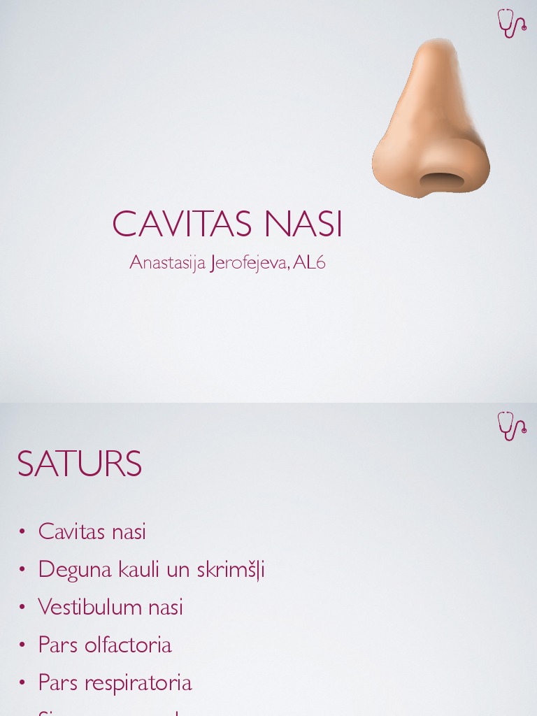 Cavum Nasi Pdf