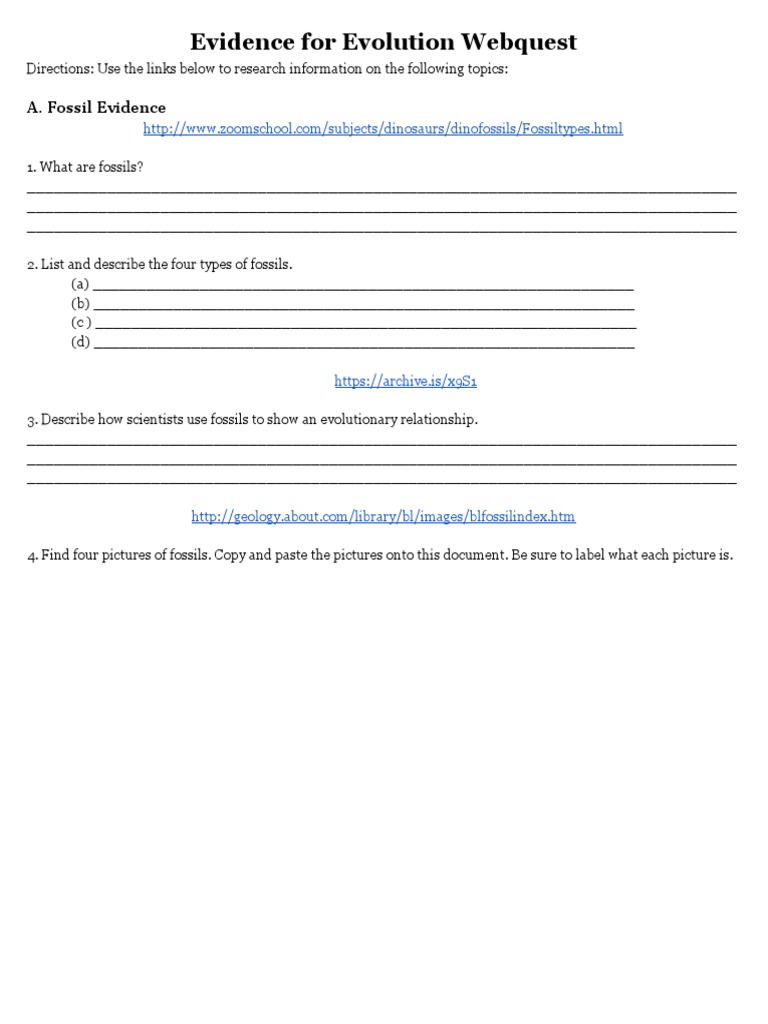 Evidence For Evolution Webquest | PDF | Evolution | Biochemistry