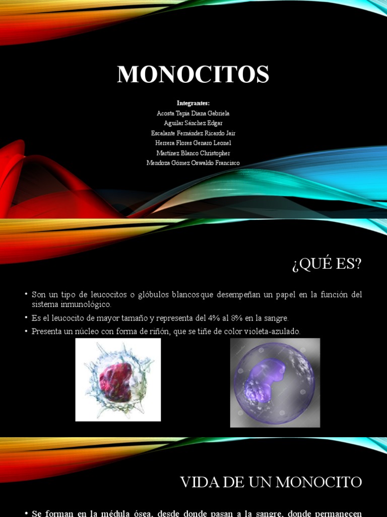Funciones y características de los monocitos | PDF | Macrófago | Leucocito