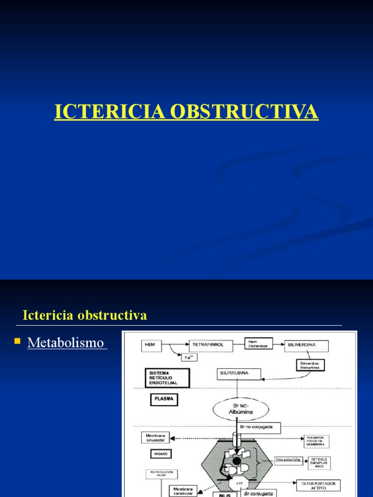 Litiasis Coledociana | PDF | Órgano (anatomía) | Hígado
