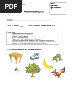 Prueba de 2D y 3D Primero Básico | PDF | Rectángulo | Geometría euclidiana