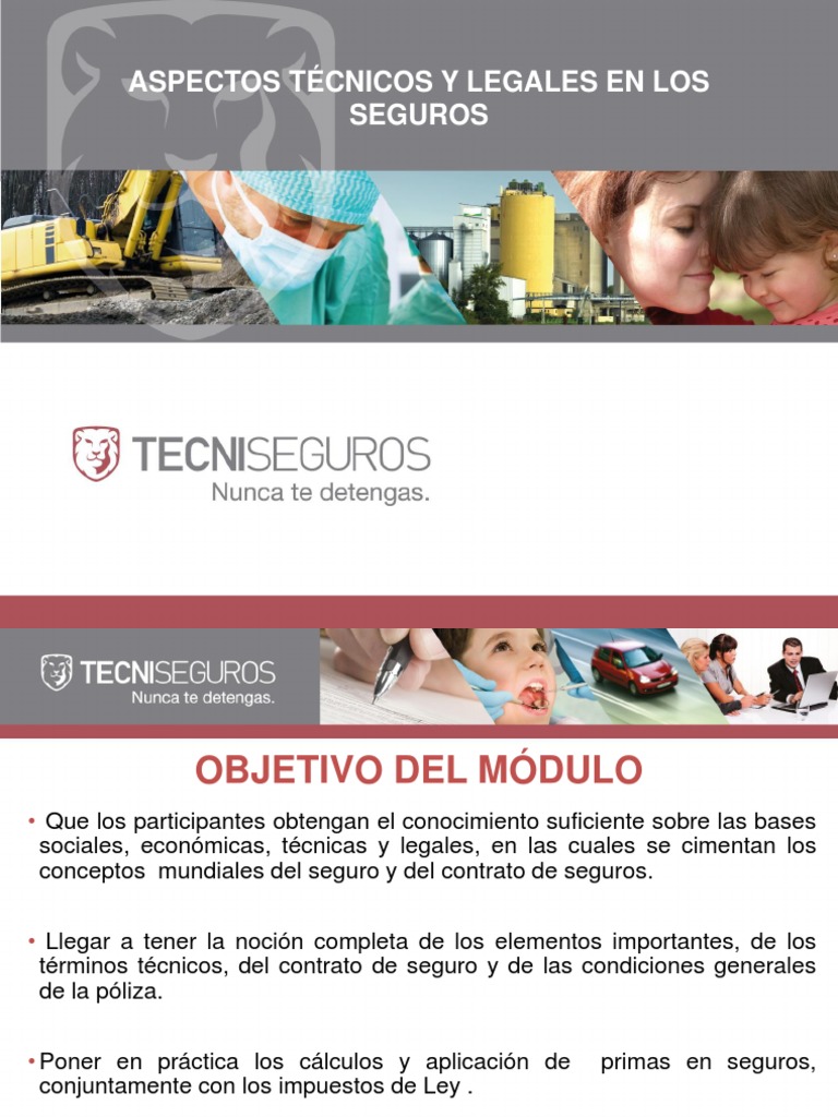 Aspectos técnicos y legales de los seguros: objetivos, contenido y orígenes del seguro | PDF ...