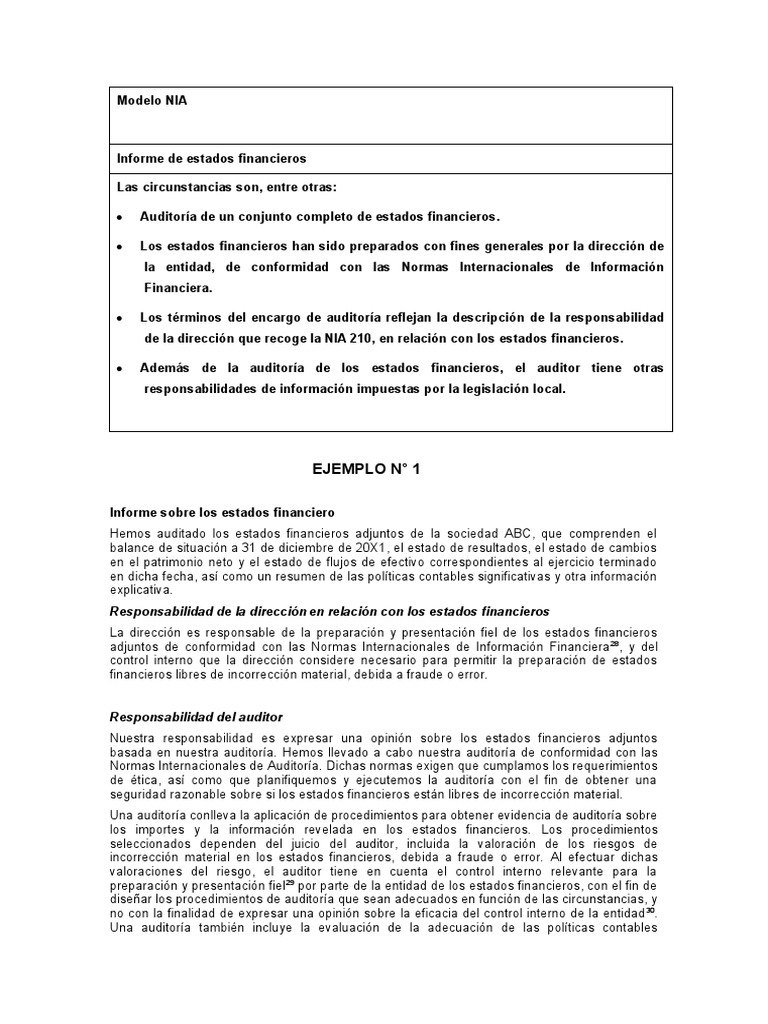 Ejemplo de Nia 700 | PDF | Contralor | Auditoría